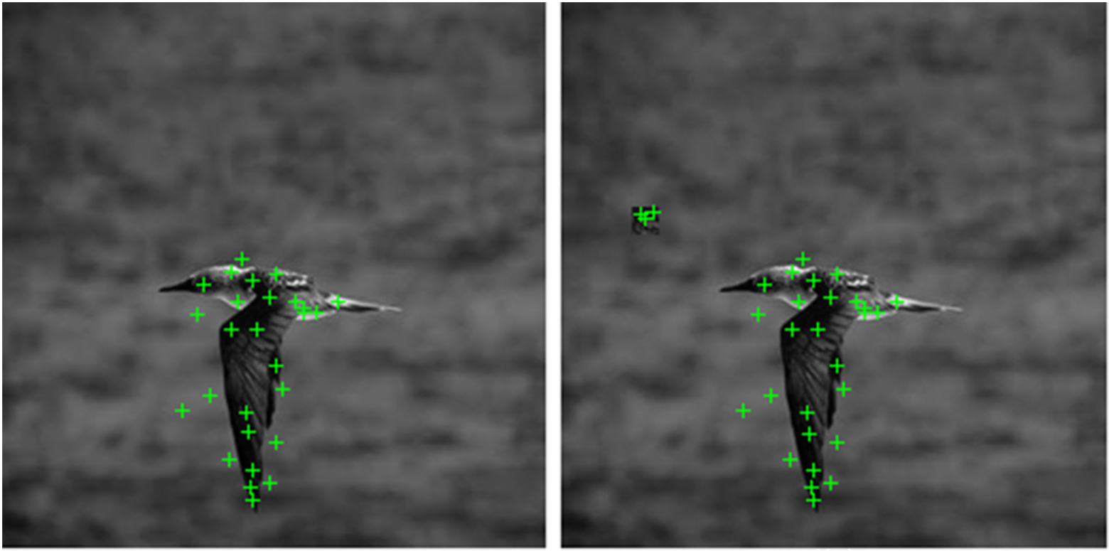 Image Hash Minimization For Tamper Detection